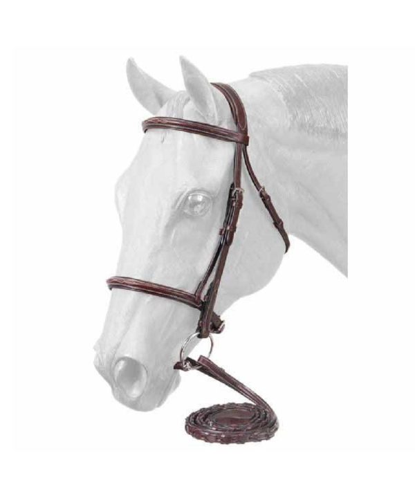 Premium Padded English Bridle - Cowpokes Work & Western