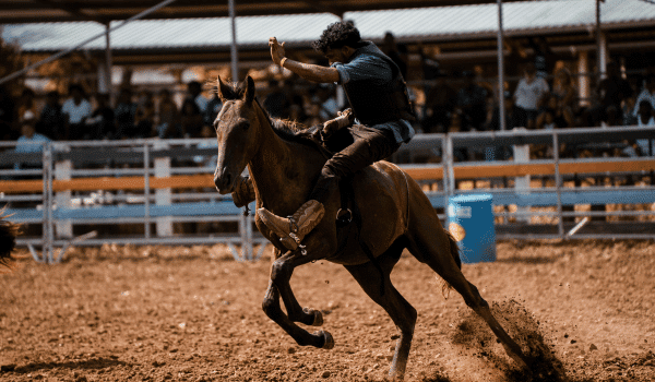 Events from October 3 – November 14 – Cowpokes Work & Western